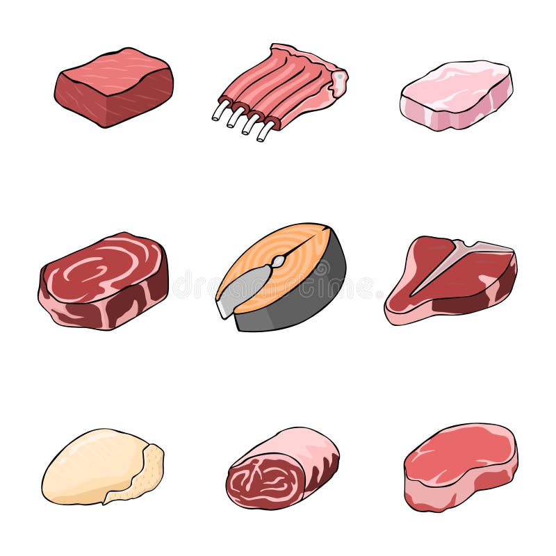 Set of meat vector, food stock vector. Illustration of poster - 179610600