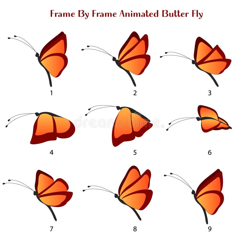 Butter Fly Vector Illustration, Frame by Frame Animated Butterfly ...