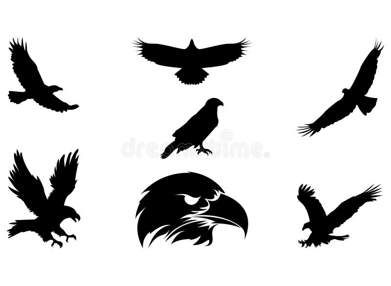 Eagle Icon, Logo, Simple Design Set Vector Eps 10 Stock Vector ...