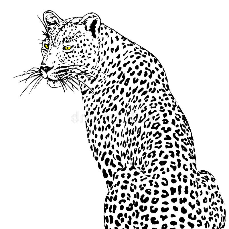 Profilegraphic Stock Illustrations – 2 Profilegraphic Stock ...