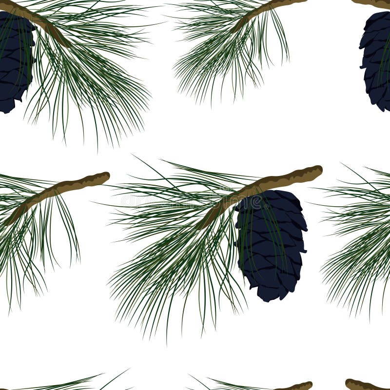 Cedar Branch with a Cone Vector Stock Illustration. New Year`s Seamless ...