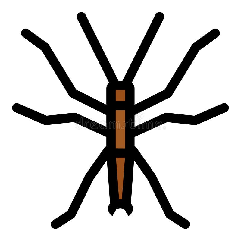 Sticks Bug Stock Illustrations – 44 Sticks Bug Stock Illustrations ...