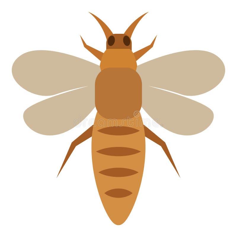 Thrips Stock Illustrations – 113 Thrips Stock Illustrations, Vectors ...