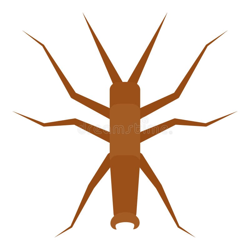 Flat Color Icon for Walking Sticks Bug. Stock Vector - Illustration of ...