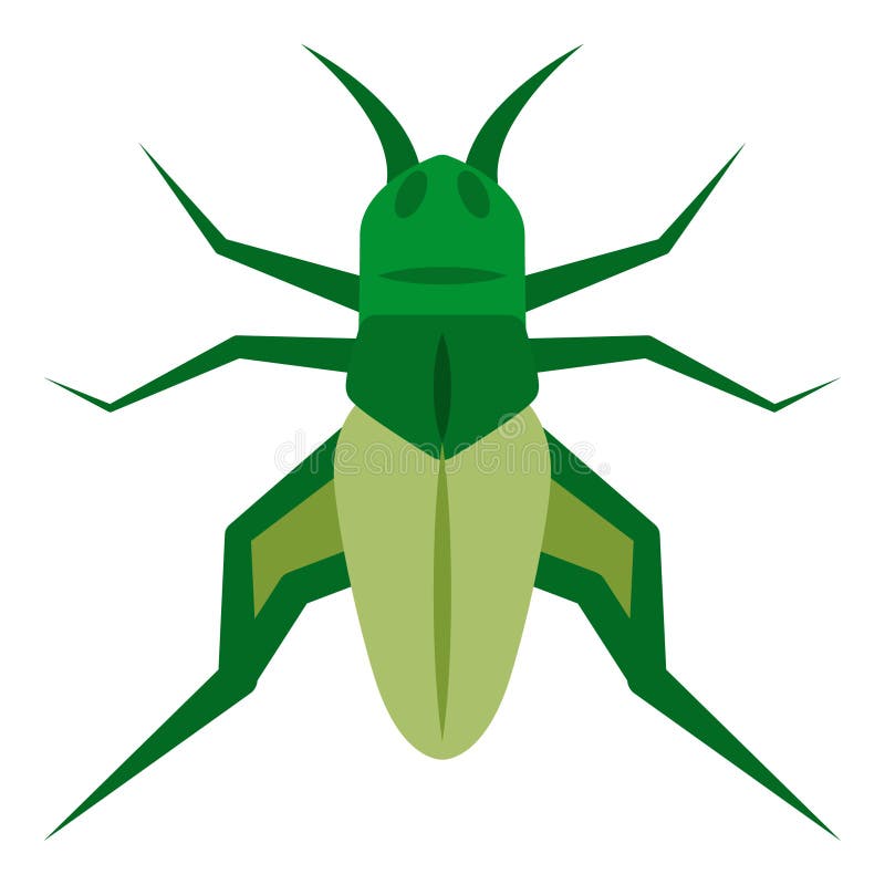 Flat Color Icon for Cricket Bug. Stock Vector - Illustration of icon ...