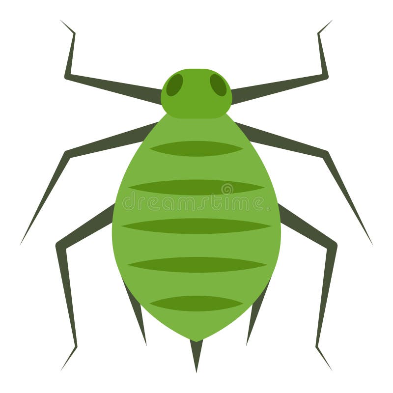 Aphid Stock Illustrations – 717 Aphid Stock Illustrations, Vectors ...