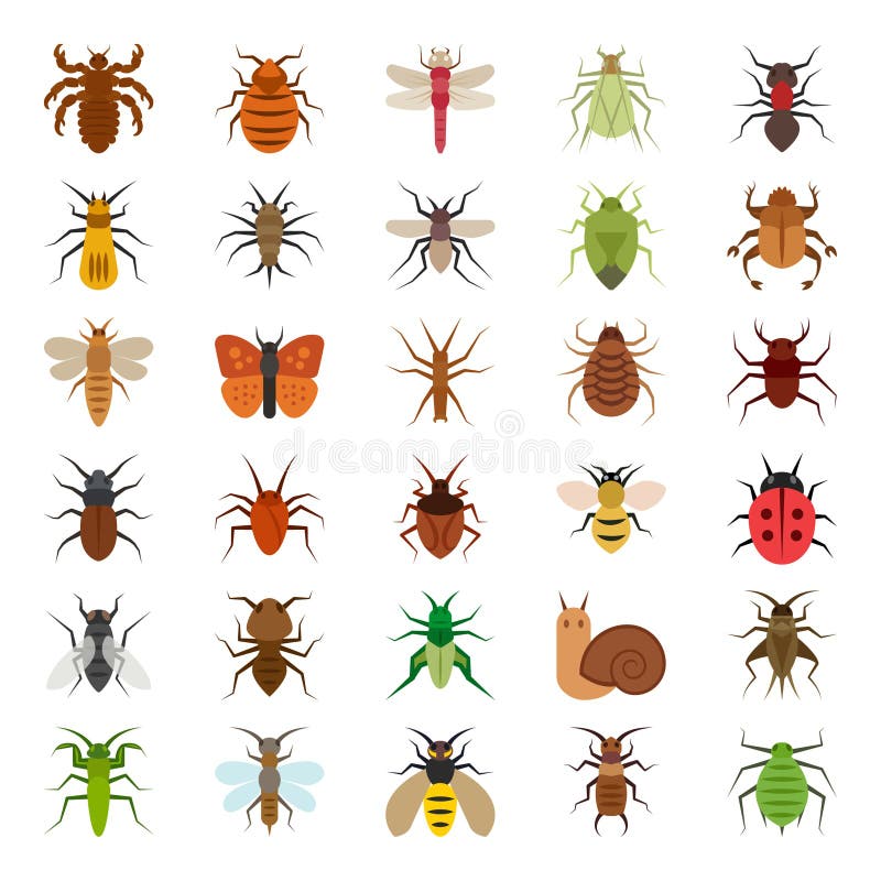 Flat Color Icons for Insects. Stock Vector - Illustration of aphid ...