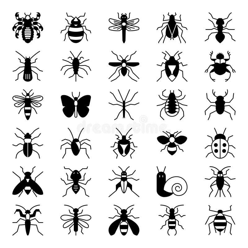 Glyph icons for insects. stock vector. Illustration of firebrat - 231747221
