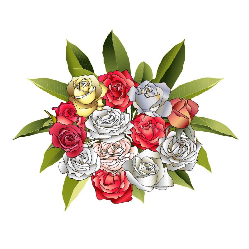 Multi-colored Roses Isolated on White Background. Stock Vector ...