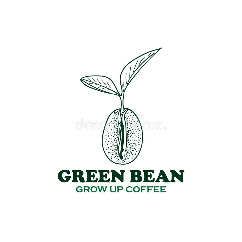 Natural Green Bean Design Logo Vector Stock Vector - Illustration of ...