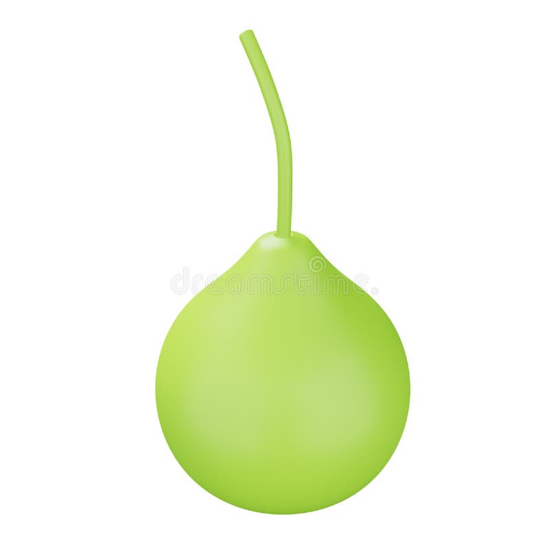 Bottle Gourd Round 3d Rendering Isometric Icon. Stock Vector ...