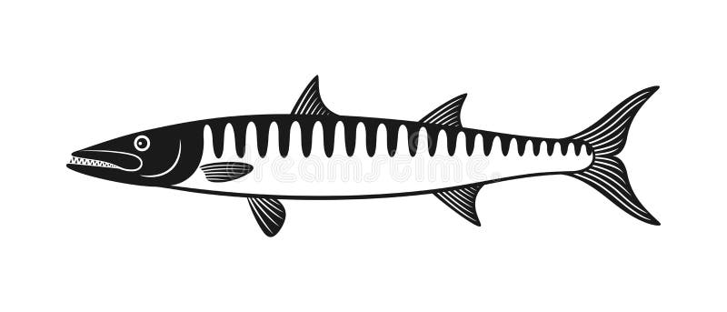 Barracuda Logo. Isolated Barracuda on White Background Stock Vector ...