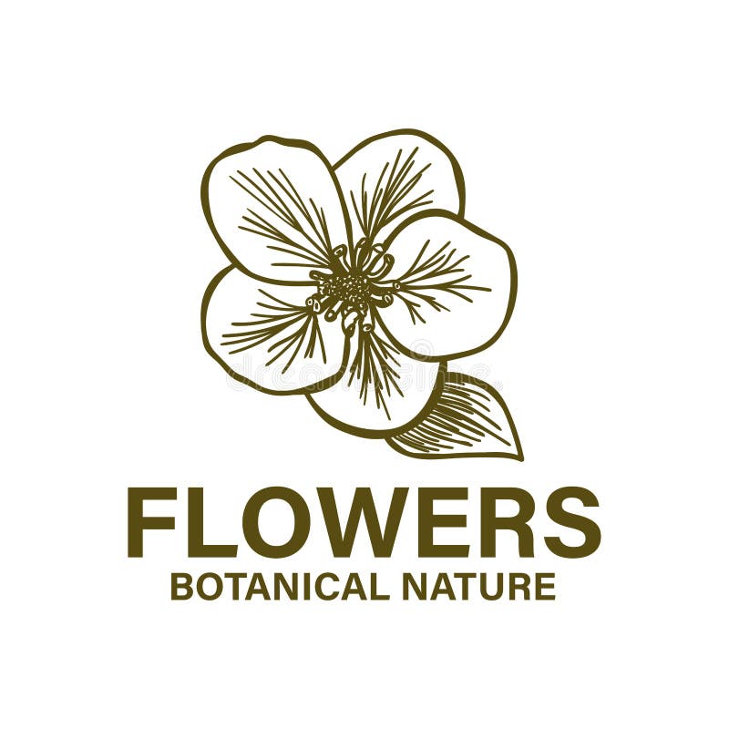Hand Drawn Flower Design Logo Vector Stock Vector - Illustration of ...
