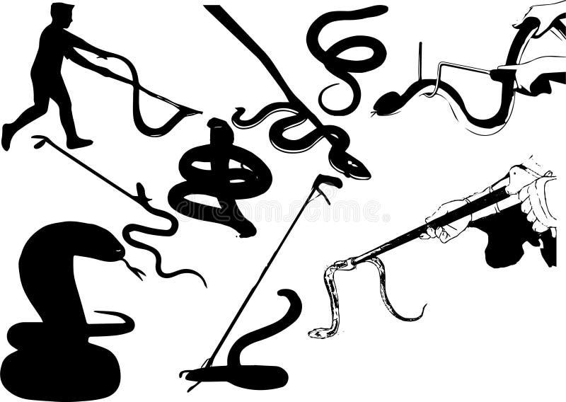 Catching Snake Stock Illustrations – 157 Catching Snake Stock ...