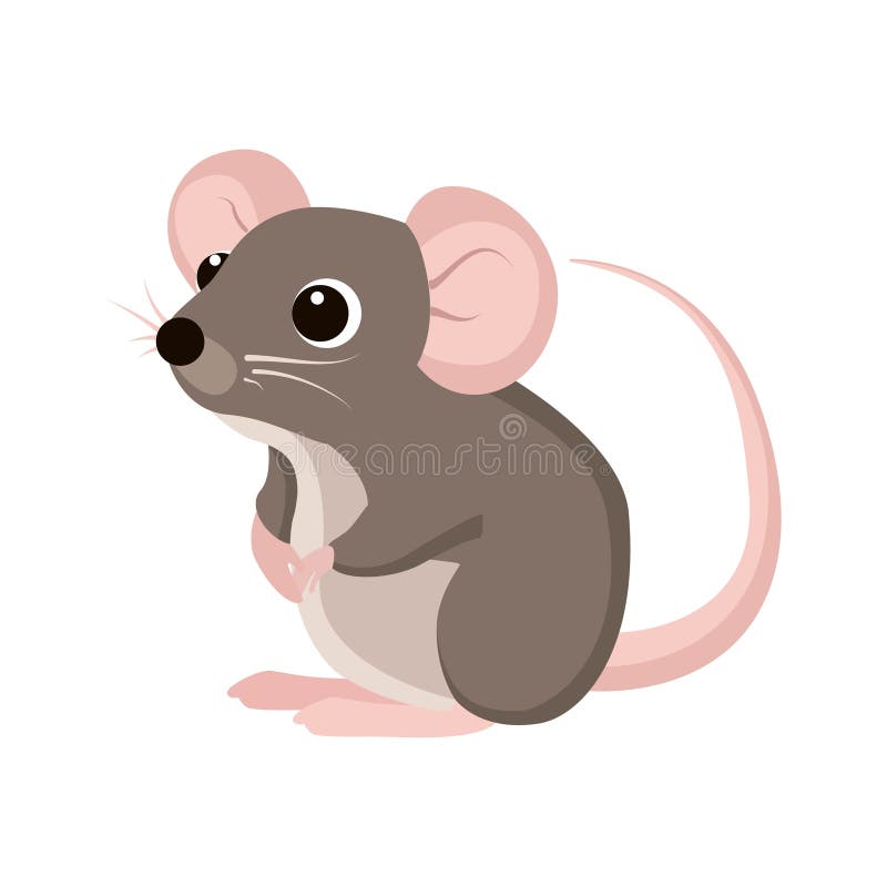 Rat. Cartoon Vector Drawing, Rat on White Background. Stock ...