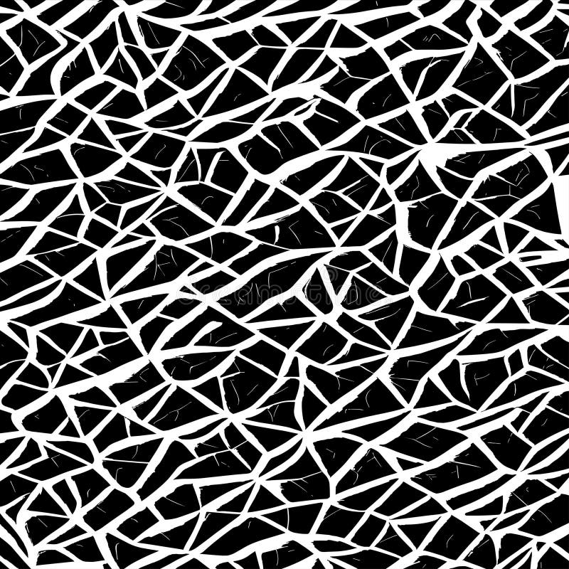 Black and White Abstract Pattern, Background, Beautiful Small Cracks ...