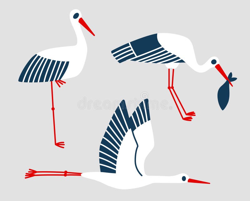 Illustration with Storks. Vector Birds Stock Vector - Illustration of ...