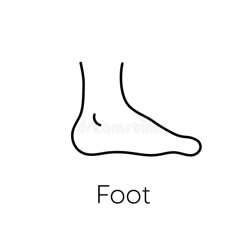 Human Foot Icon Stock Illustrations – 28,211 Human Foot Icon Stock ...