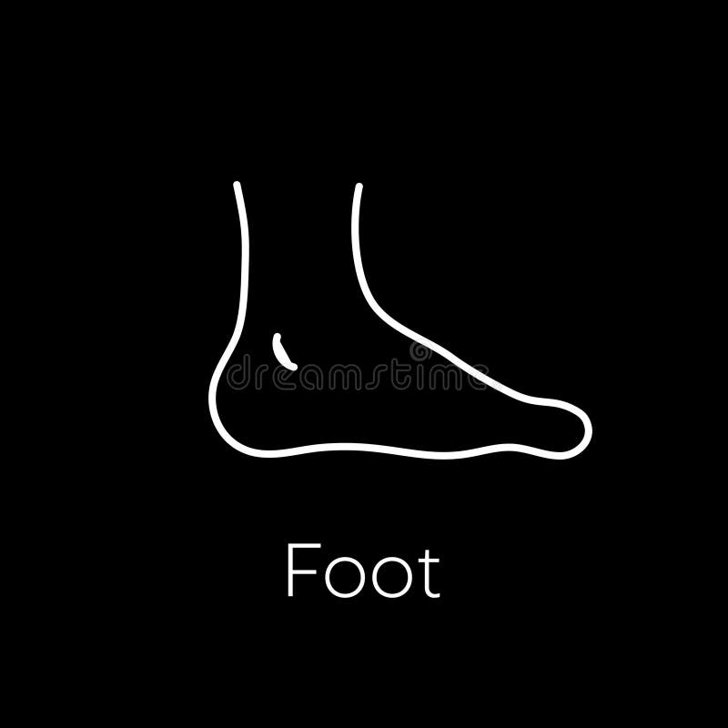 Human Foot Line Icon Isolated on Black Background. Stock Vector ...