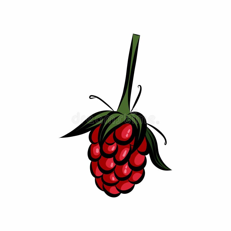 Raspberry, Fresh Garden Red Berry. Ripe Sweet Fruit Icon. Natural ...
