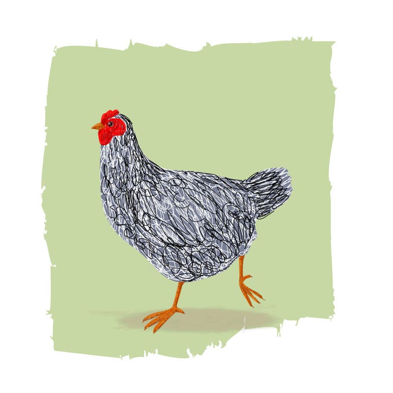 Chicken Hen Vintage Character Hand Drawn Vector. Stock Vector ...