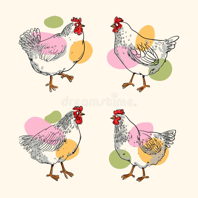 Chicken Hen Rooster Vintage Character Hand Drawn Vector. Stock Vector ...