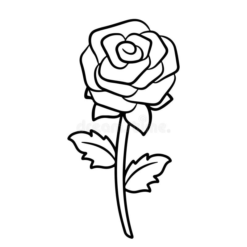 Rose Flower Drawing
