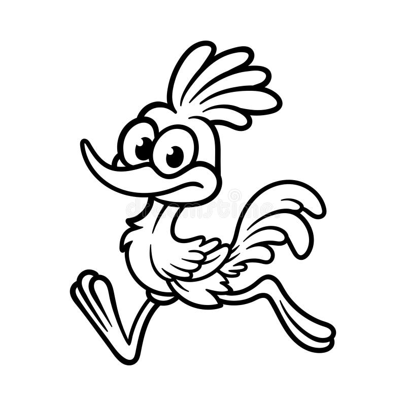 Fun Cute Running Bird Roadrunner Cartoon Isolated Drawing Line Art ...