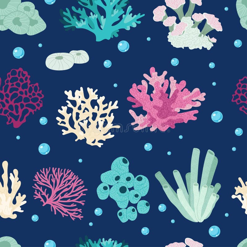 Seamless Pattern Colorful Coral Illustrations. for Marine Designs ...