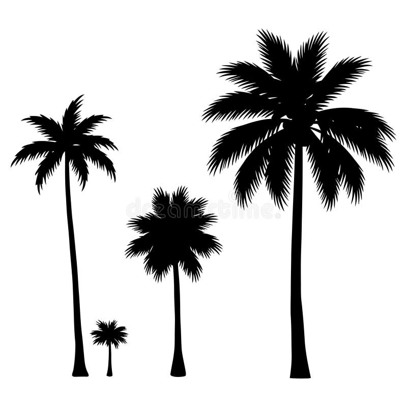Silhouetted Palm Trees Depicting Life Evolution in Minimalist Art Stock ...