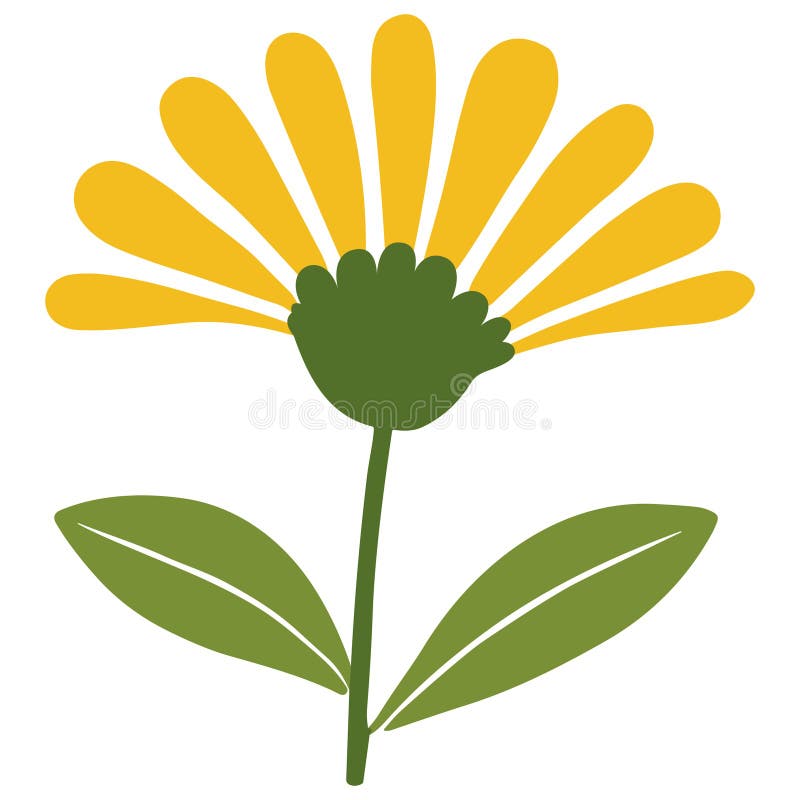 2d Illustration of Sunny Yellow Blossom Flower Stock Illustration ...