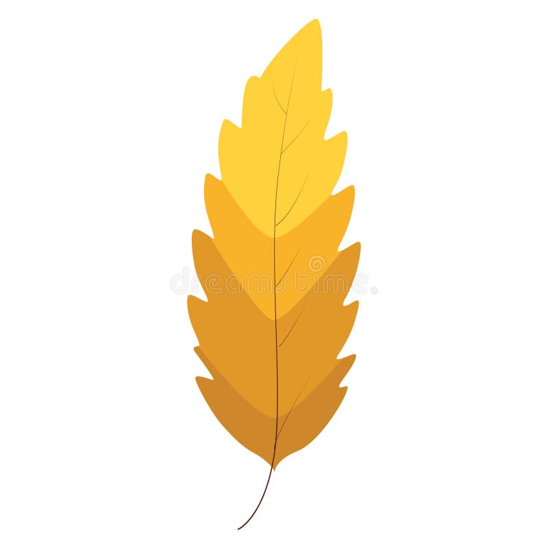 2D Illustration of Yellow Birch Leaf with Sharp Edges Stock Image ...