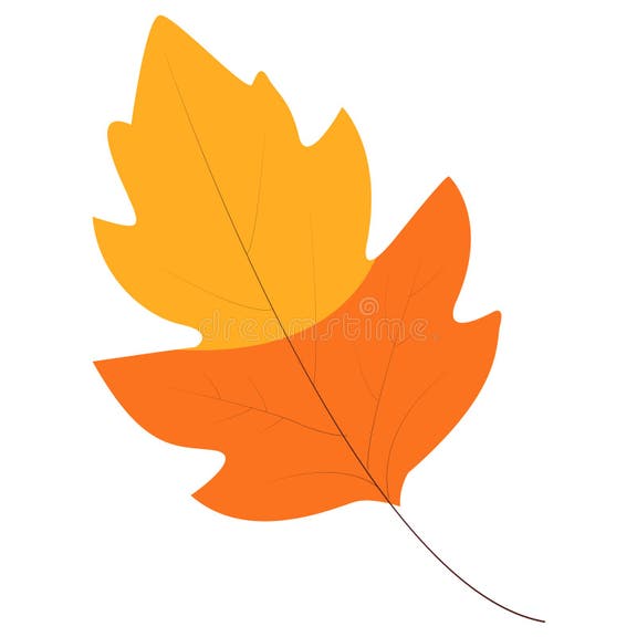 2D Illustration of Soft Maple Leaf with Gradient Tones Stock ...