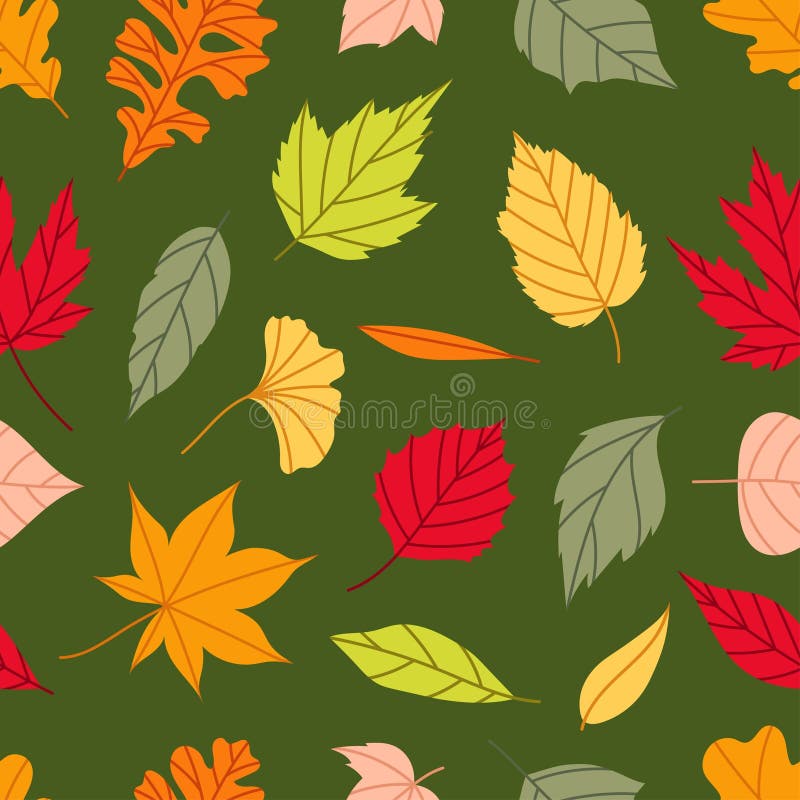 Pattern with Different Autumn Leaves. Oak, Maple, Birch, Chestnut Leaves. for School Theme ...