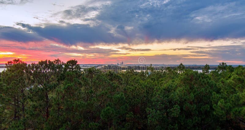 Mobile, Alabama Skyline Above the Trees at Sunset Stock Photo - Image ...