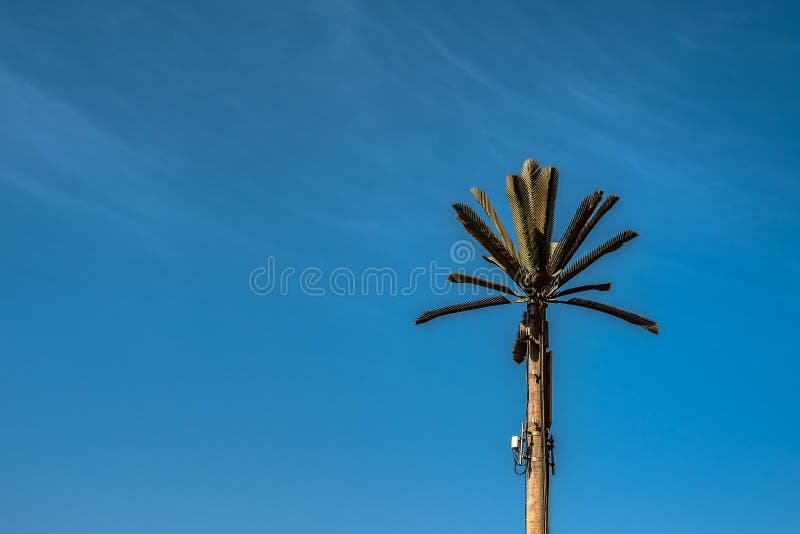 Communication Antennas Fake Palm Tree Stock Photos - Free & Royalty ...