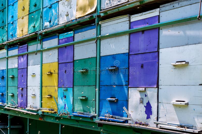 Mobile apiary stock photo. Image of nectar, mountain - 45275466