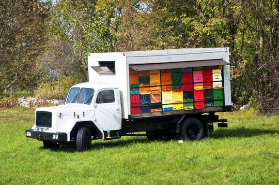 Mobile bee-hive stock photo. Image of outdoors, vehicle - 16329720