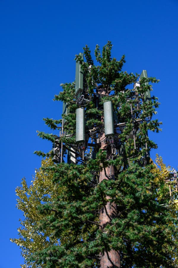 Mobile Communications Cell Site with Tower and Antennas Camouflaged As ...