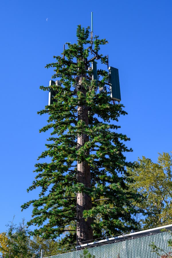 Mobile Communications Cell Site with Tower and Antennas Camouflaged As ...