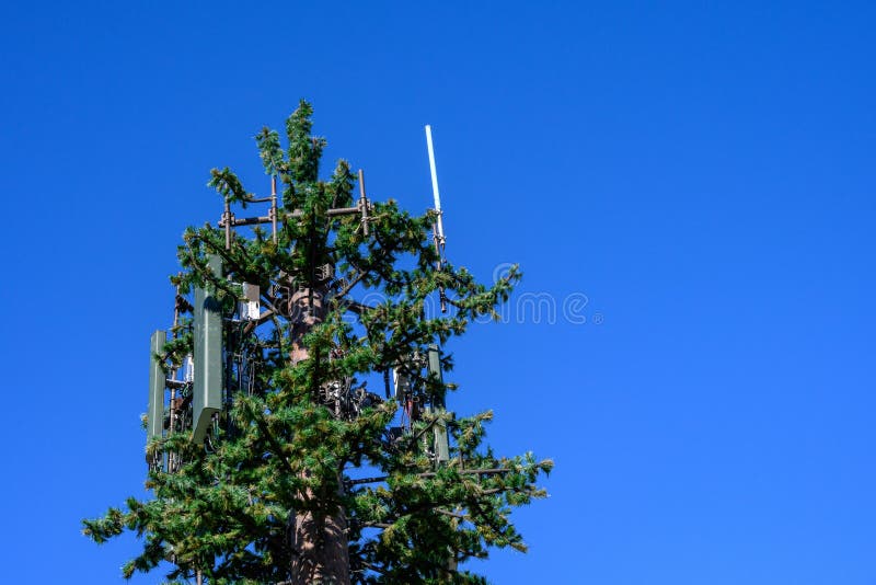 Mobile Communications Cell Site with Tower and Antennas Camouflaged As ...