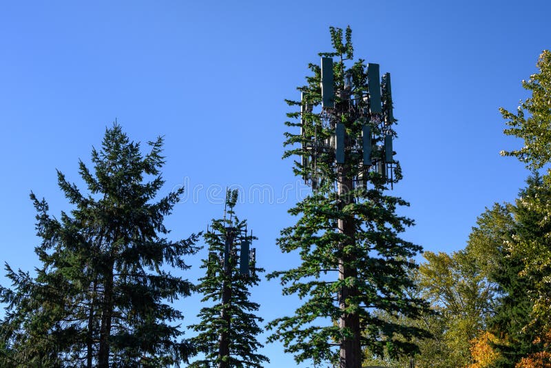Mobile Communications Cell Site with Tower and Antennas Camouflaged As ...