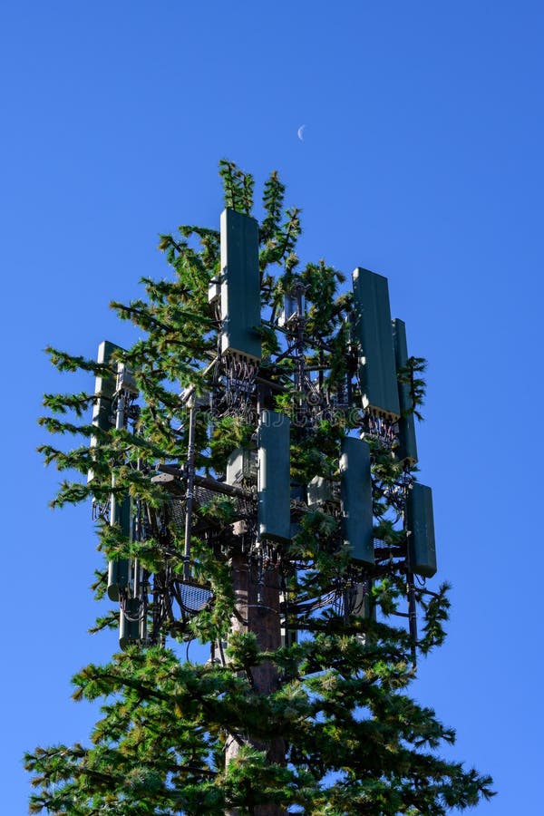 Mobile Communications Cell Site with Tower and Antennas Camouflaged As ...