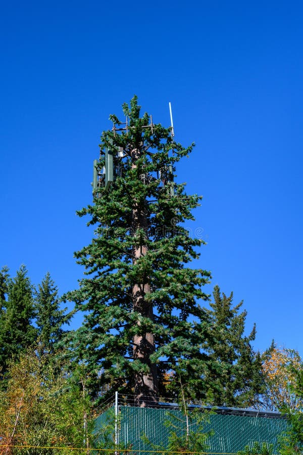 Mobile Communications Cell Site with Tower and Antennas Camouflaged As ...