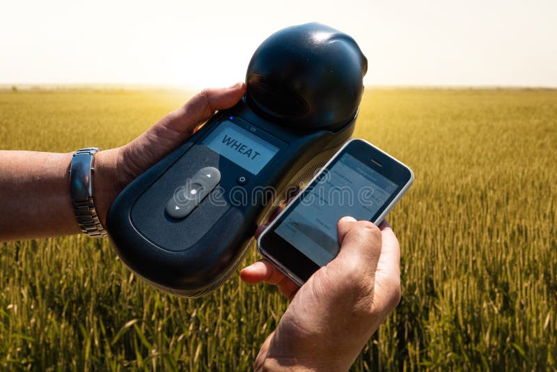 Mobile Device for Measuring the Parameters of Grain Stock Image - Image ...