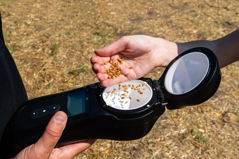 Mobile Device for Measuring the Parameters of Grain Stock Photo - Image ...