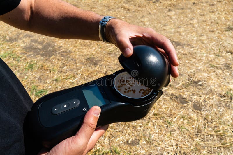 Mobile Device for Measuring the Parameters of Grain Stock Photo - Image ...