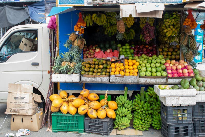 Mobile fruit shop editorial stock photo. Image of ecological - 163517638