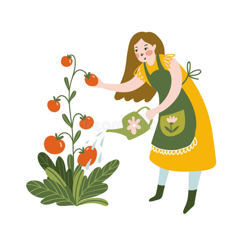 Girl Watering Tomato With Watering Can Young Woman Working In Garden