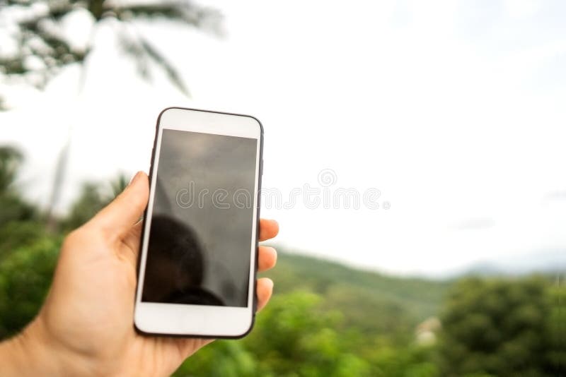 Mobile in a Guyâ€™s Hand Against Tropical Palm Trees Stock Image ...
